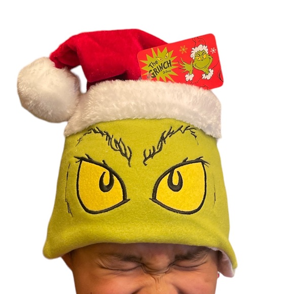 Dr. Seuss | Holiday | The Grinch Santa Hat For Kids And Adults | Poshmark